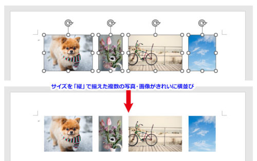 Wordで複数の写真・画像サイズを統一してピタッと揃えるには？ | TschoolBANK 作～るバンク